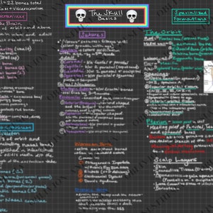 Anatomy and Bones on the Skull Study Guide, Neuro Physiology Cheat ...
