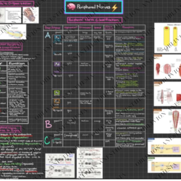Crna Cheat Sheet - Etsy
