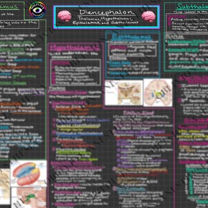 Brain Anatomy Study Guide, Nurse Medical Anesthesia Cheat Sheet ...
