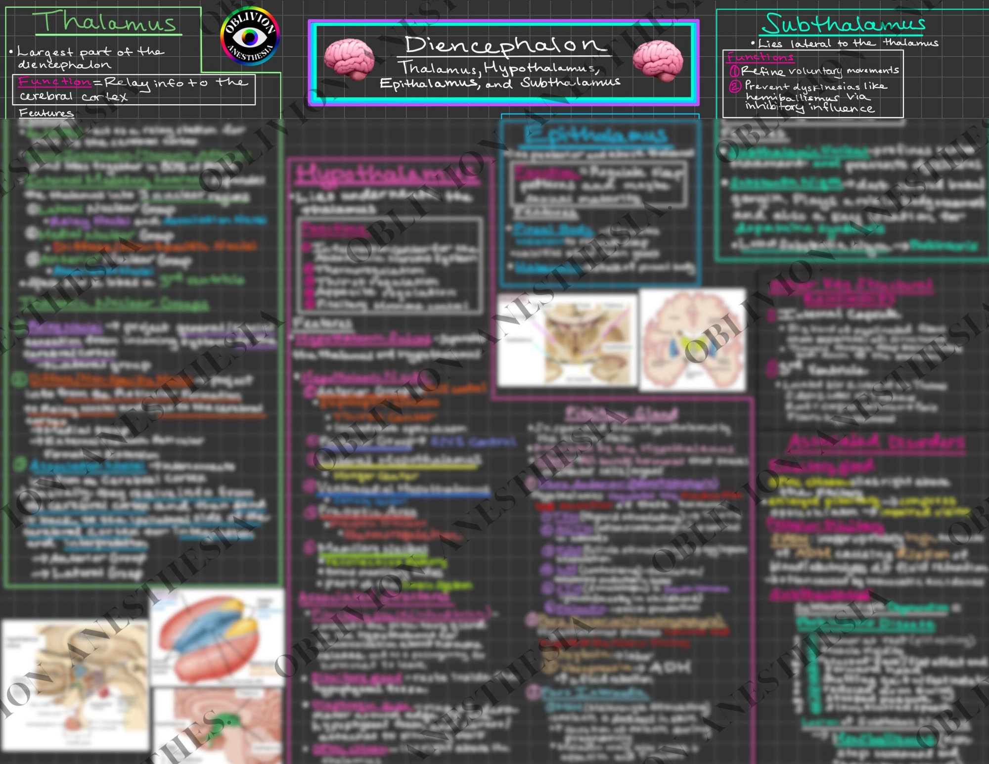 Brain Anatomy Study Guide Physiology Cheat Sheet Cheat Sheet Nurse ...