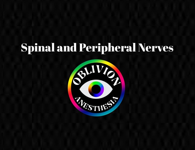 Peripheral & Spinal Nerves Anatomy Study Guide (digital Download) - Etsy