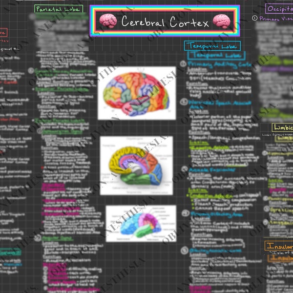 Neuro Nurse Cheat Sheet - Etsy