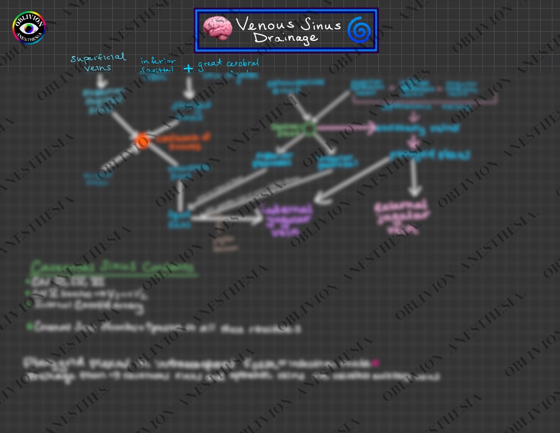 Brain Anatomy Study Guide Physiology Cheat Sheet Cheat Sheet Nurse ...