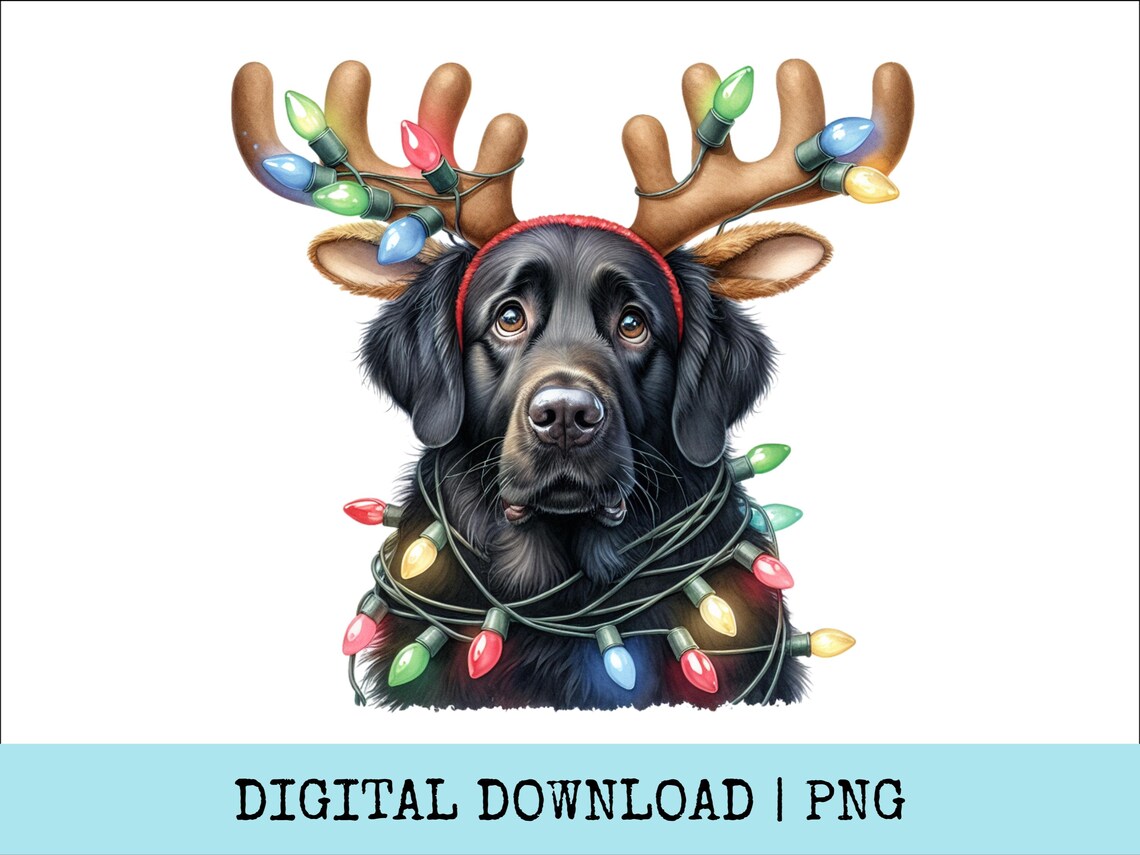 Black Christmas Labrador PNG, Festive Lights, Holiday Hat, High ...
