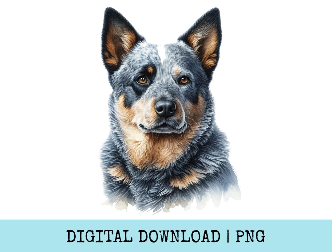 Blue Heeler Dog Png, Australian Cattle Dog Art, Transparent Digital ...