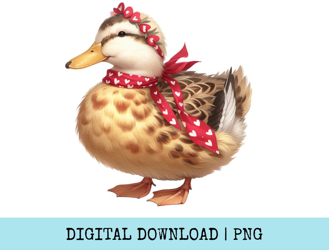 Valentine Duckling PNG, Love Duck Digital Download, Cute Animal Art ...