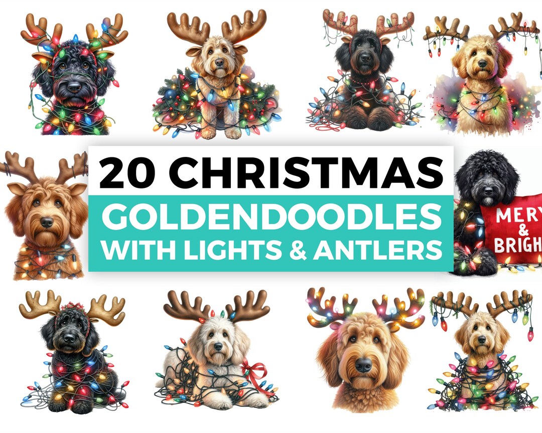 20 Christmas Goldendoodles Clipart, Dogs Wrapped in Lights & Antlers ...