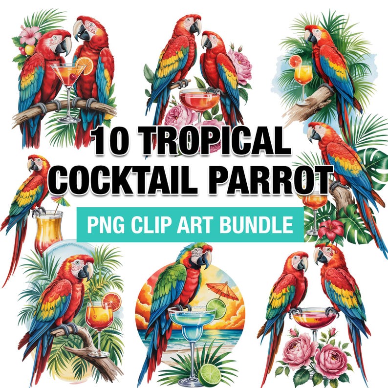 Parrot Cocktail PNG Bundle: Tropical Bird Clipart (digital Download - Etsy