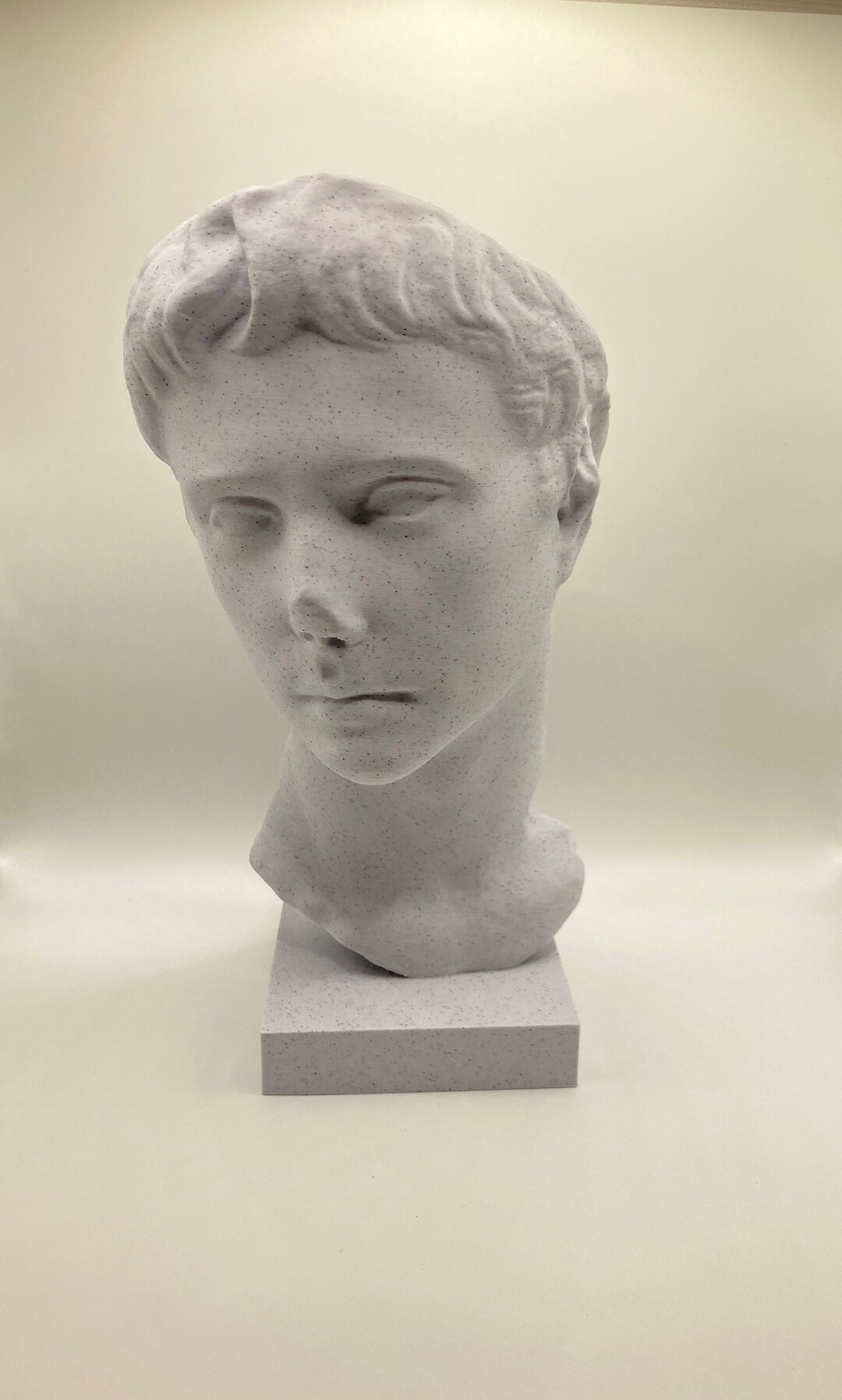 Roman Sculpture Head of Augustus 8.7 Inch/220 Mm, Museum Reproduction ...