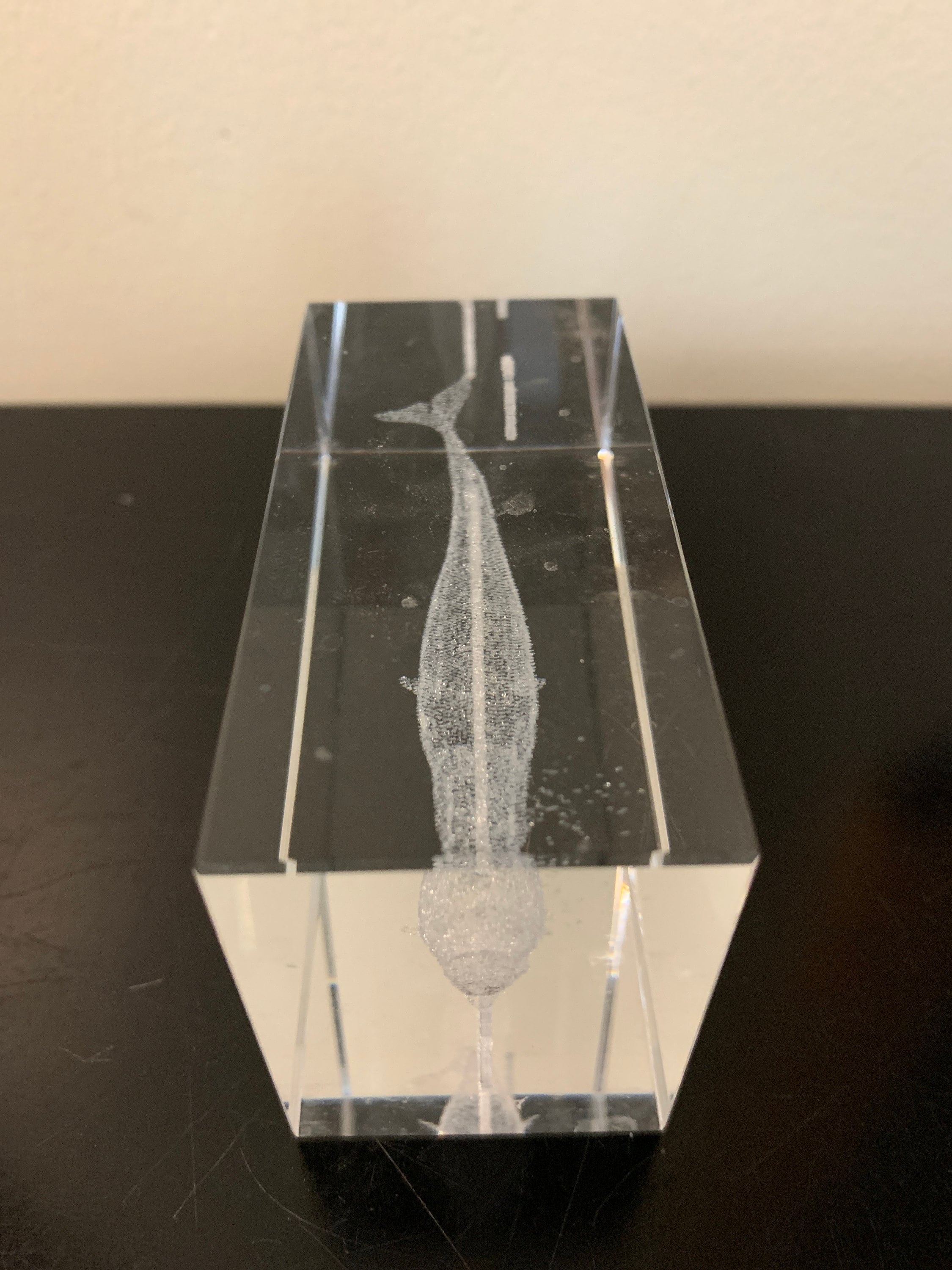 Glass Whale Paperweight, Whale Holographic, Shanghai Fisheries ...