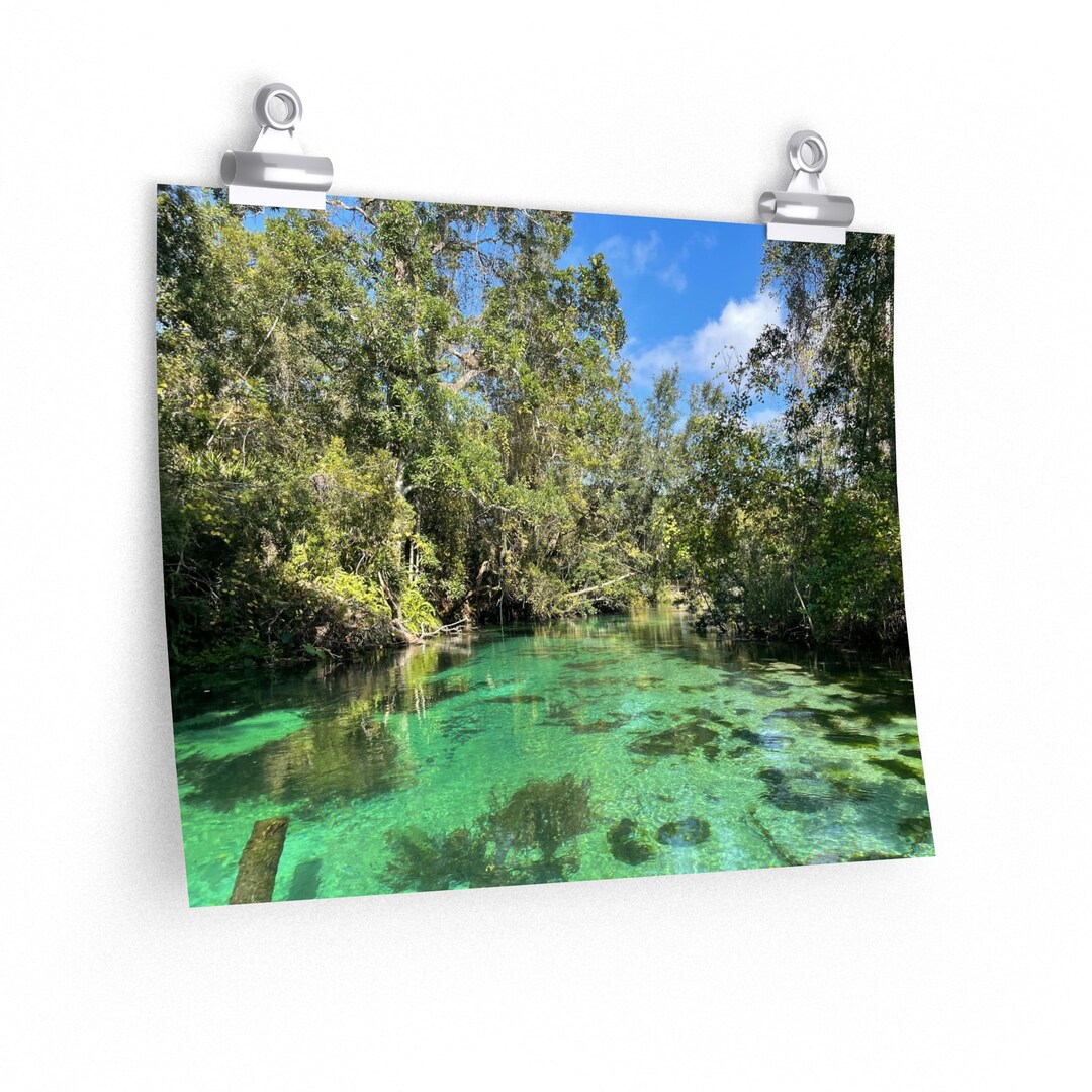 River Photo Print Florida Springs Photography Nature Wall Art Gift - Etsy