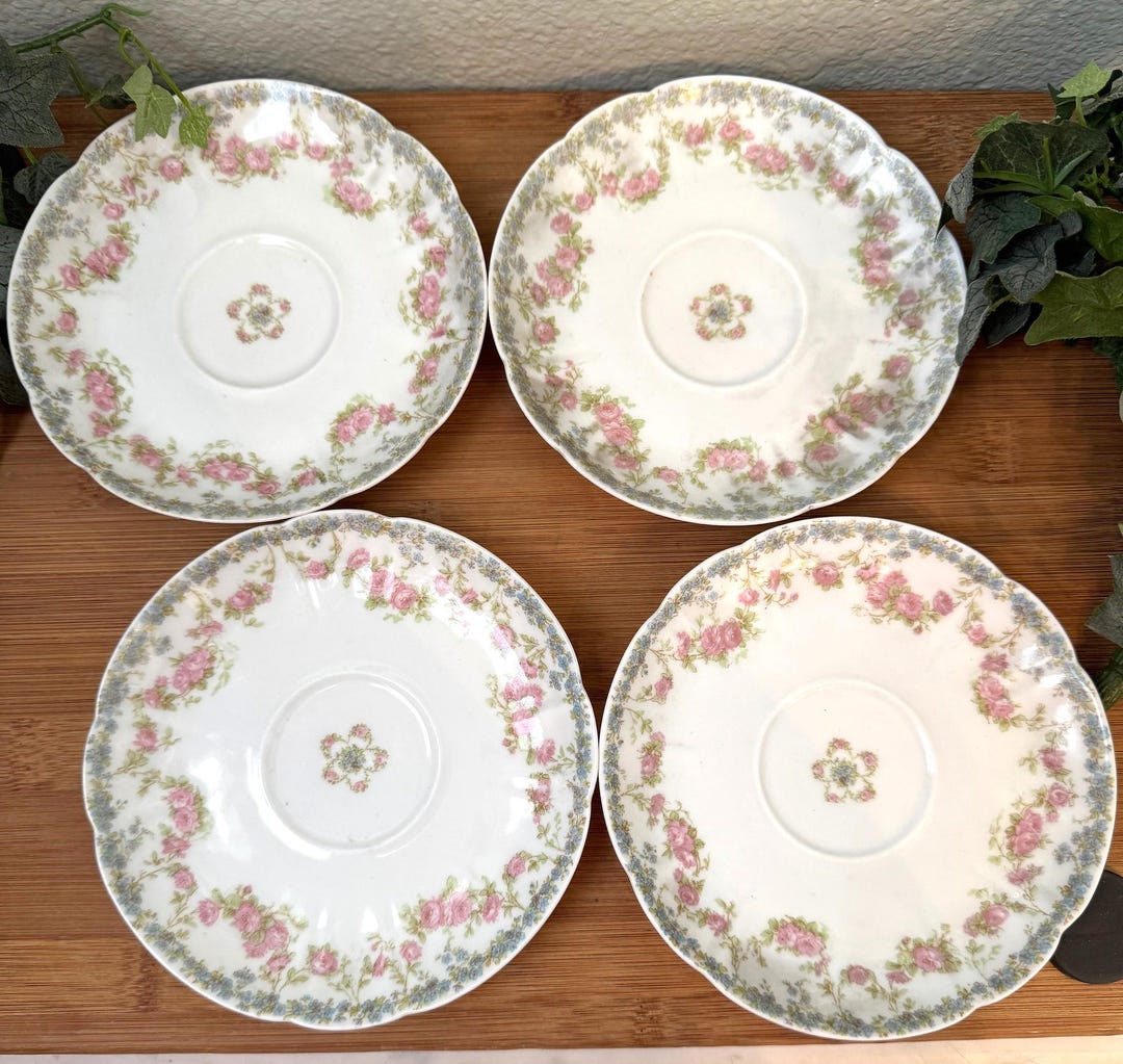 Limoges Haviland Schleiger 271 B Pattern Saucers - Etsy