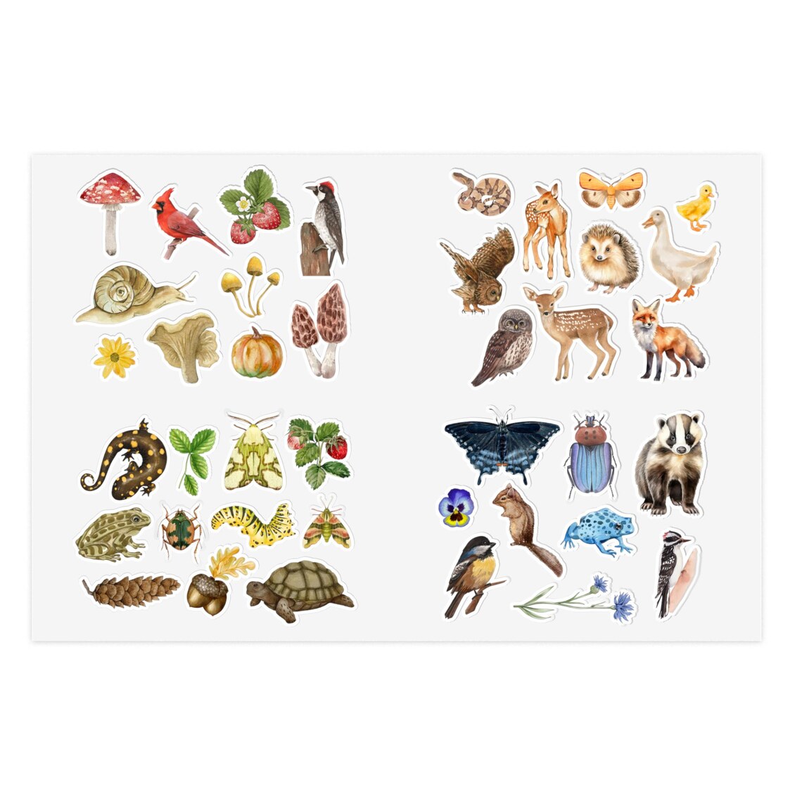 Nature Sticker Sheets - Etsy