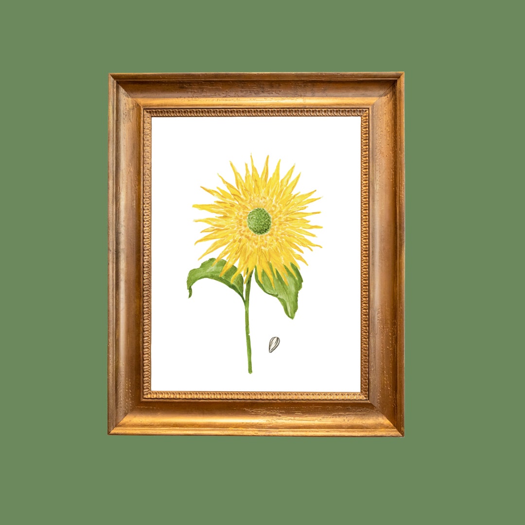 Sunflower Art Print - Etsy
