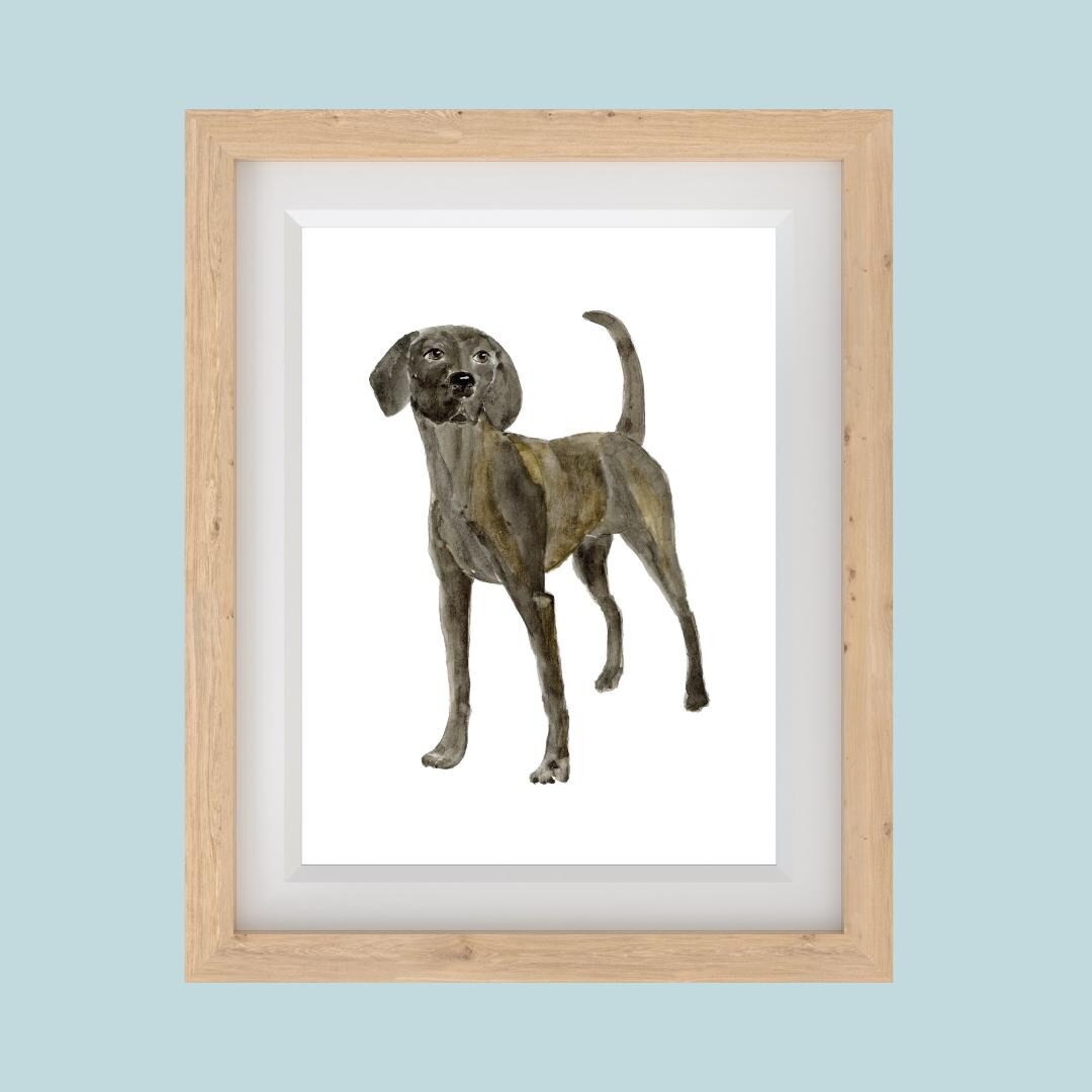 Plott Hound Art Print - Etsy