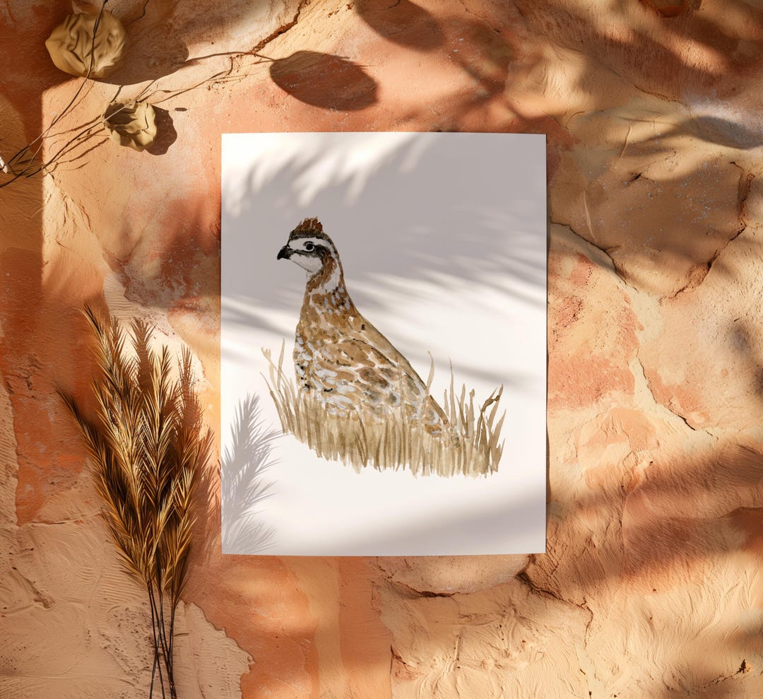 Quail Art Print - Etsy