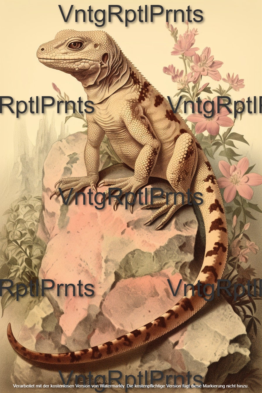 Ancient Reptile Sketches Regal Beauty In Antique Illustrations Reptile