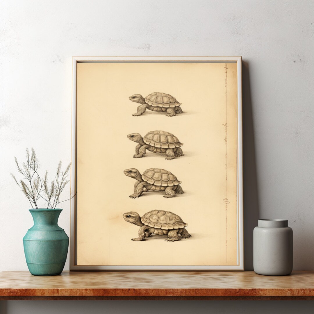 Vintage Turtle Shell Prints Biology Treasures on Parchment Canvas ...