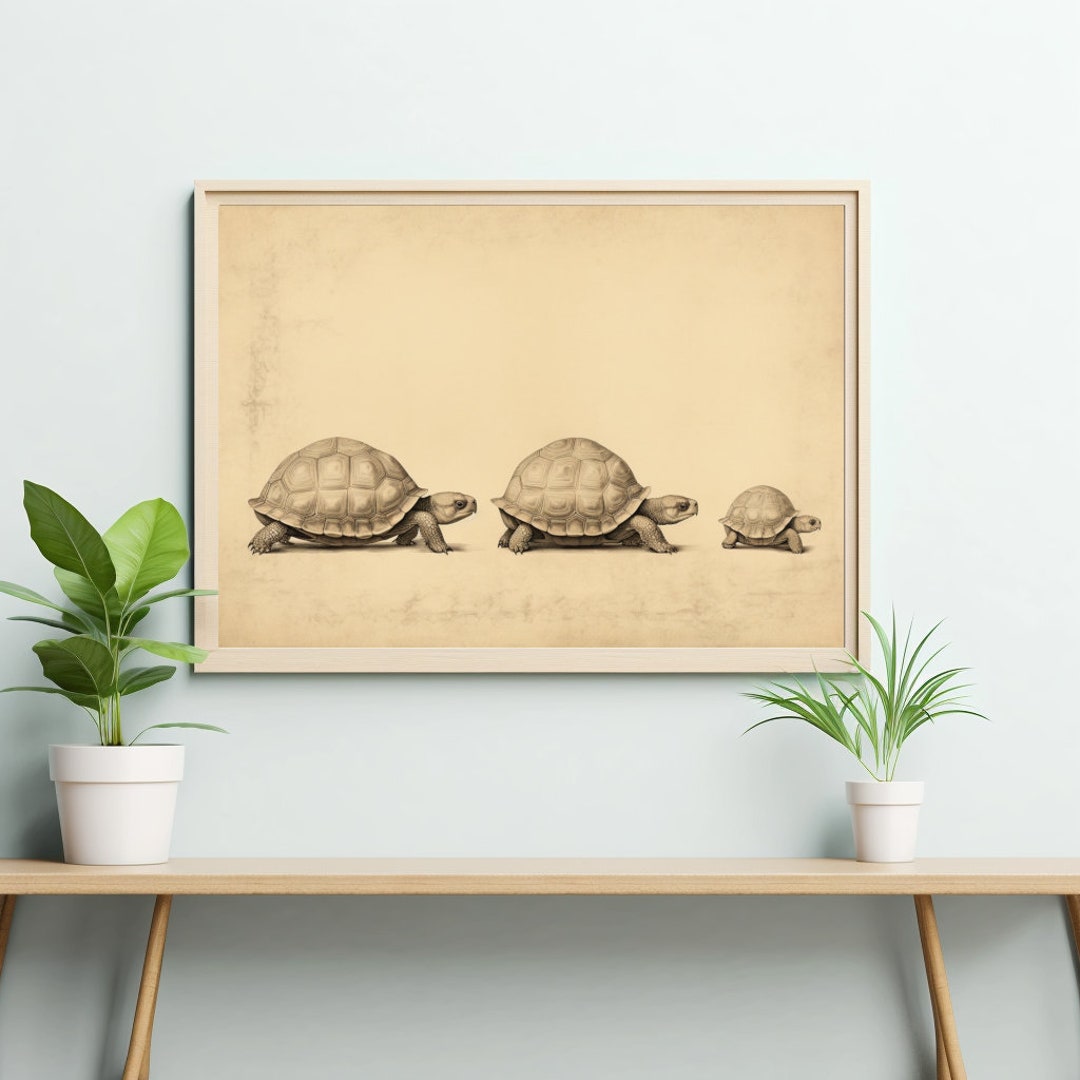 Old Canvas Turtle Art Classic Tortoise Portraits for Instant Direct ...