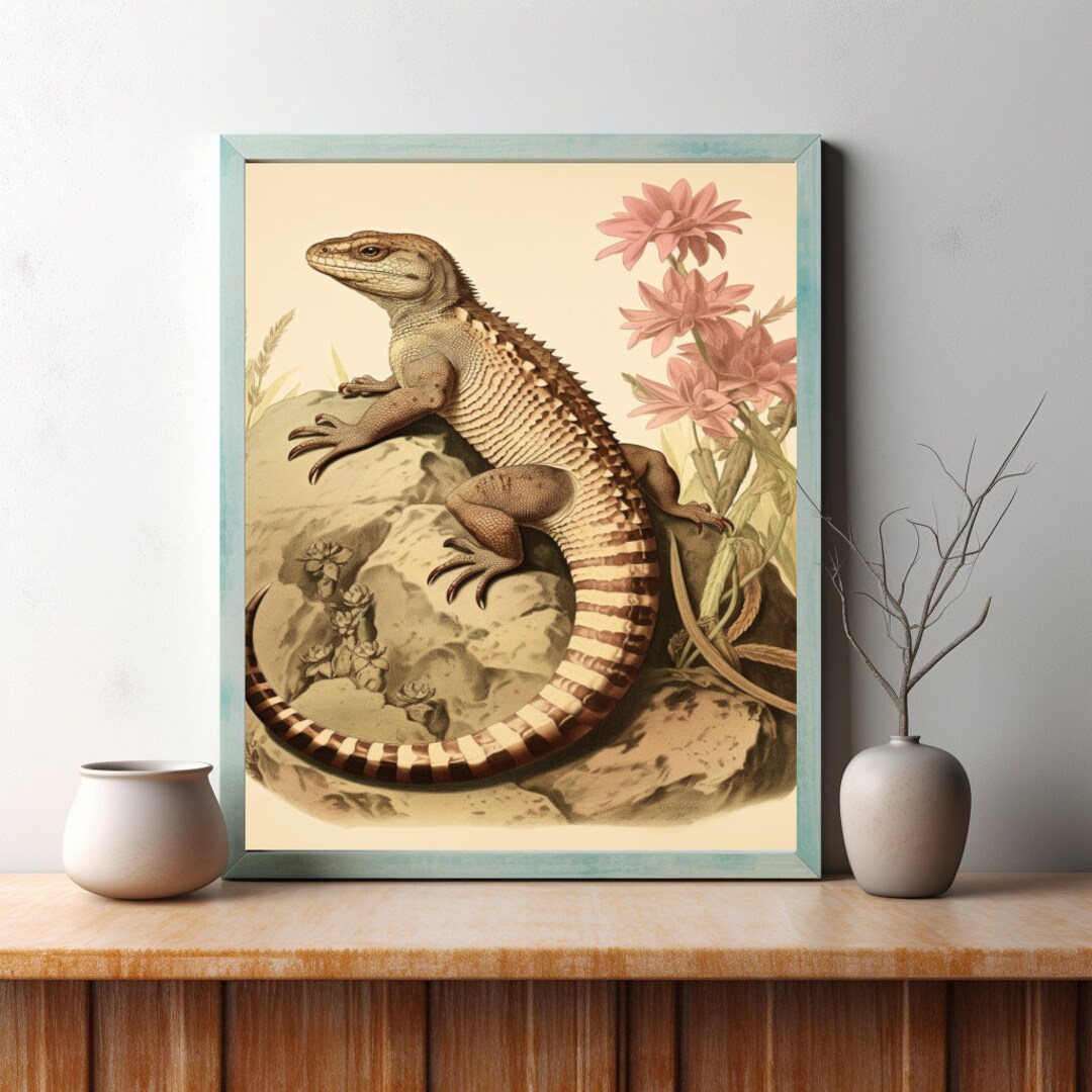 Vintage Gecko Anatomy Classic Biology Illustrations Ready for Direct ...