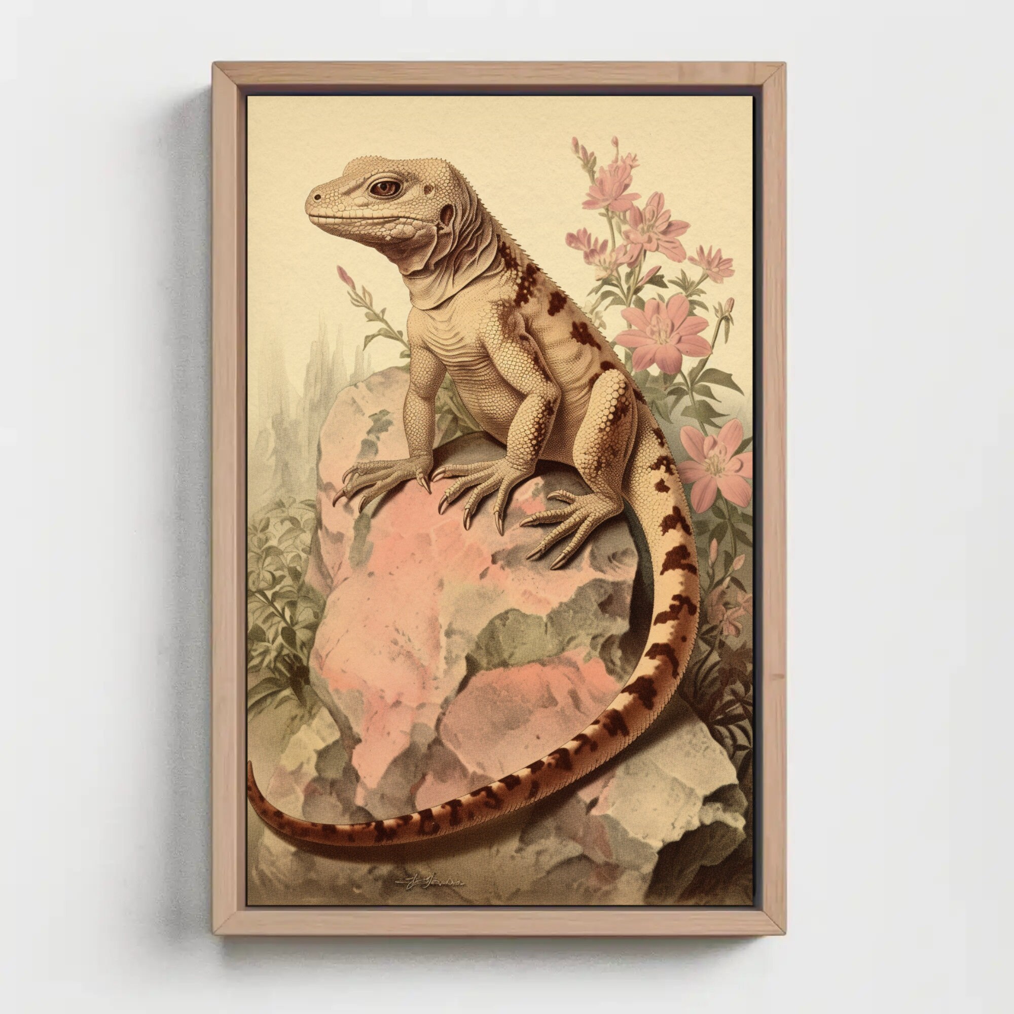 Ancient Reptile Sketches Regal Beauty In Antique Illustrations Reptile