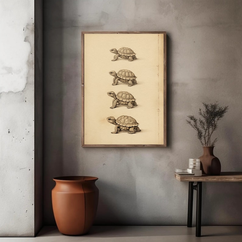 Vintage Turtle Shell Prints Biology Treasures on Parchment Canvas ...