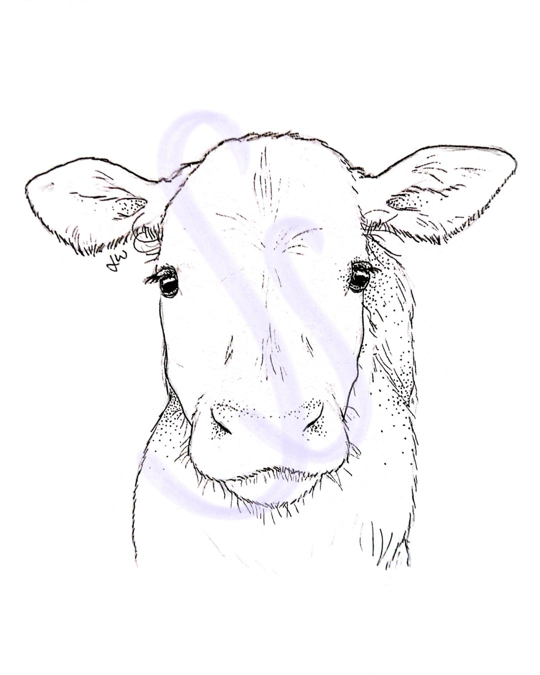 Cow Printable Digital Download, Wall Art, 4x6, 6x9, 8x10, 10x14, 12x18 ...