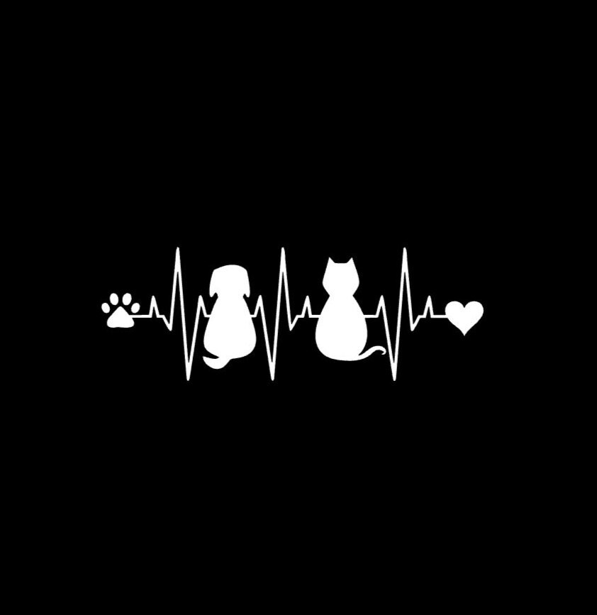 Pet Rhythm Strip Car Decal - Etsy