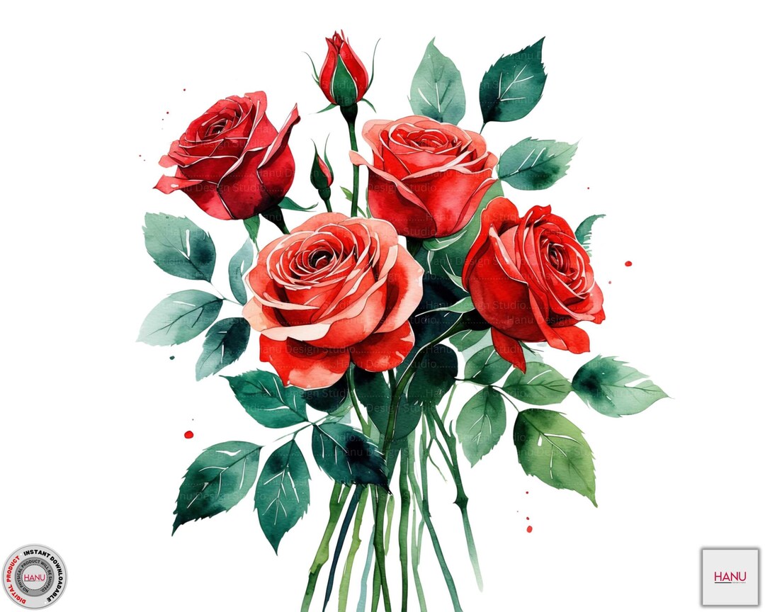 Red Rose Watercolor Clipart: Floral Design Elements (digital Download ...