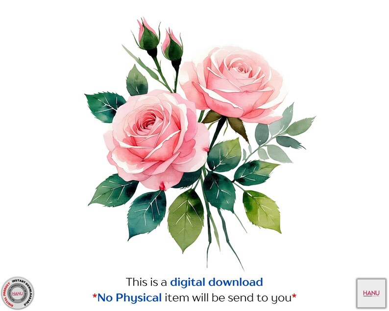 Pink Rose Watercolor Clipart Set: PNG Floral Bouquet (digital Download ...