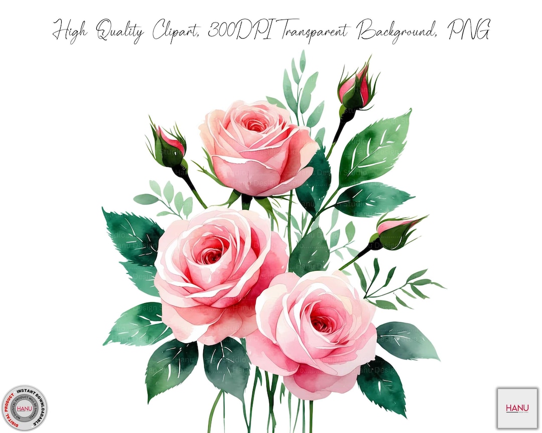 Pink Rose Watercolor Clipart Set: PNG Floral Bouquet (digital Download ...
