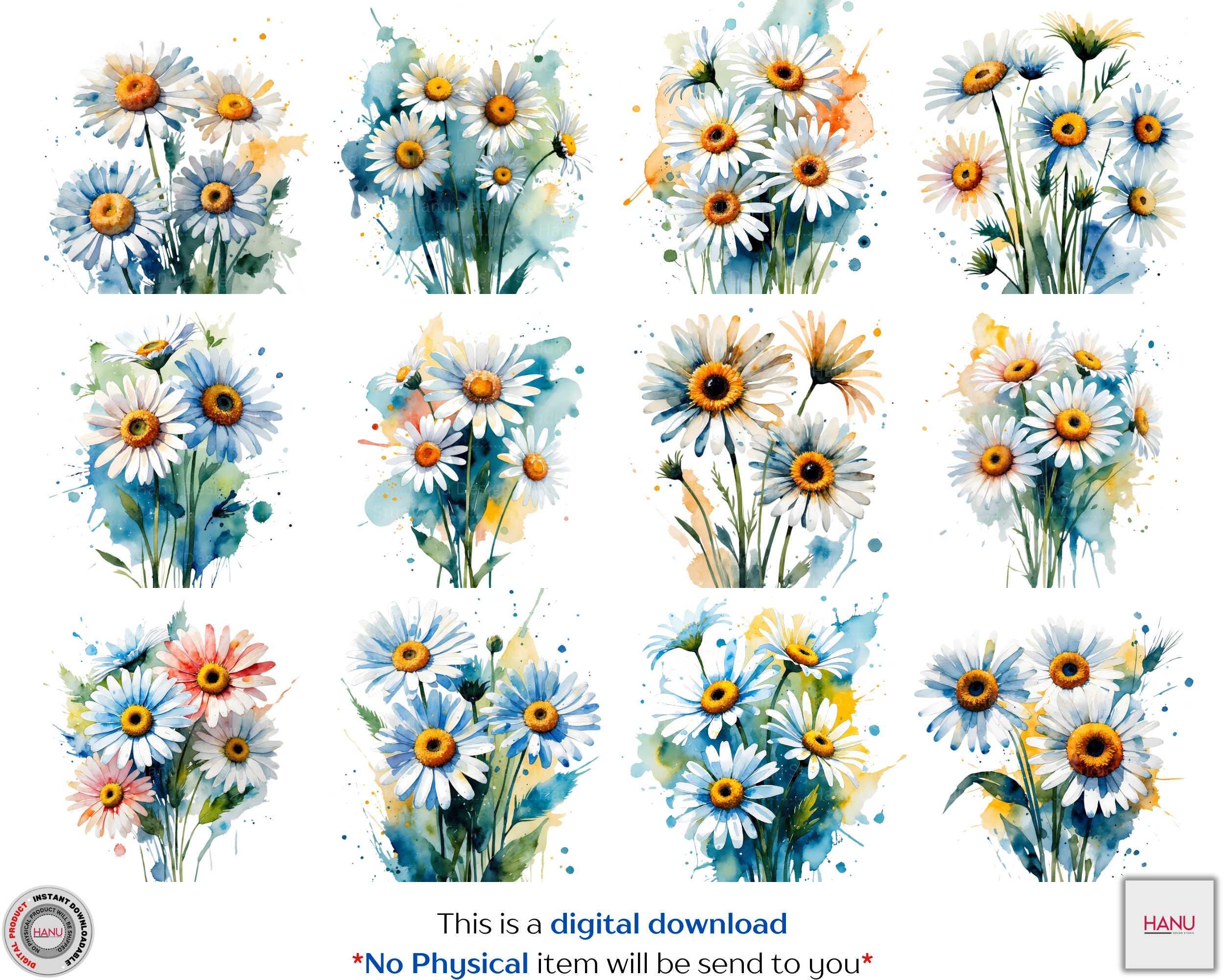 Watercolor Daisy Clipart: Floral Print for Junk Journals (digital ...