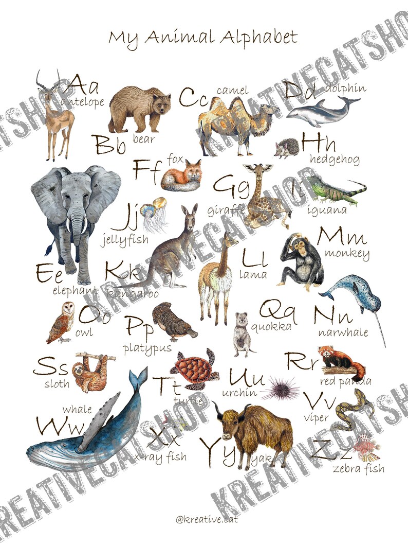 Watercolor Animal Alphabet Poster: English ABC Nursery Wall Art, White ...