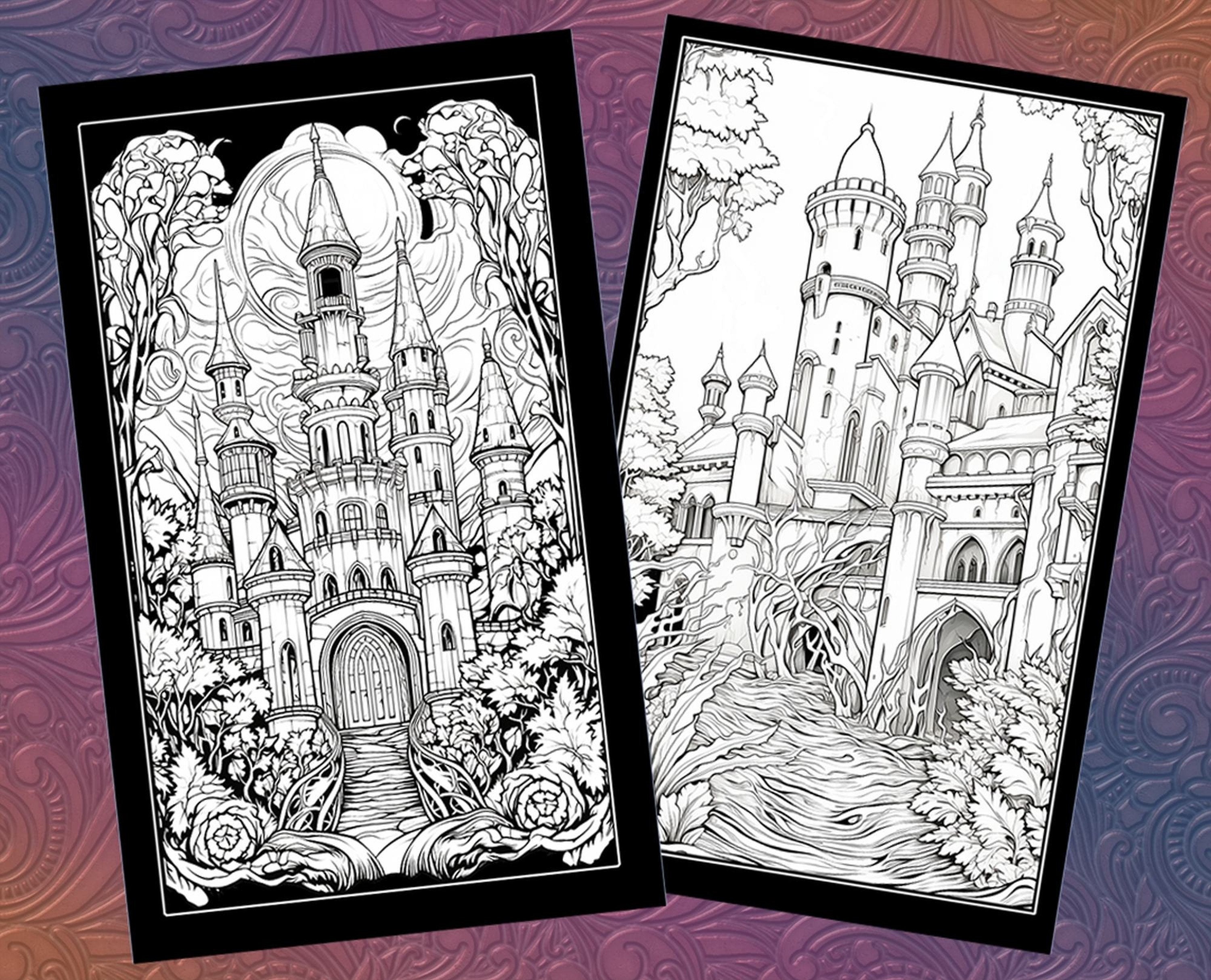 Fantastic Castles Adult Digital Coloring Book Coloring - Etsy