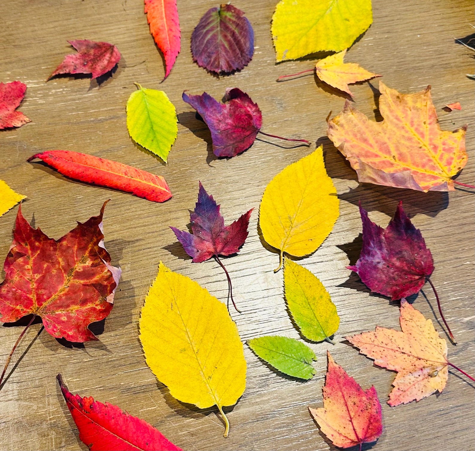 Fall for Jesus He Never Leaves Kids Activity Craft Paper Sunday School ...