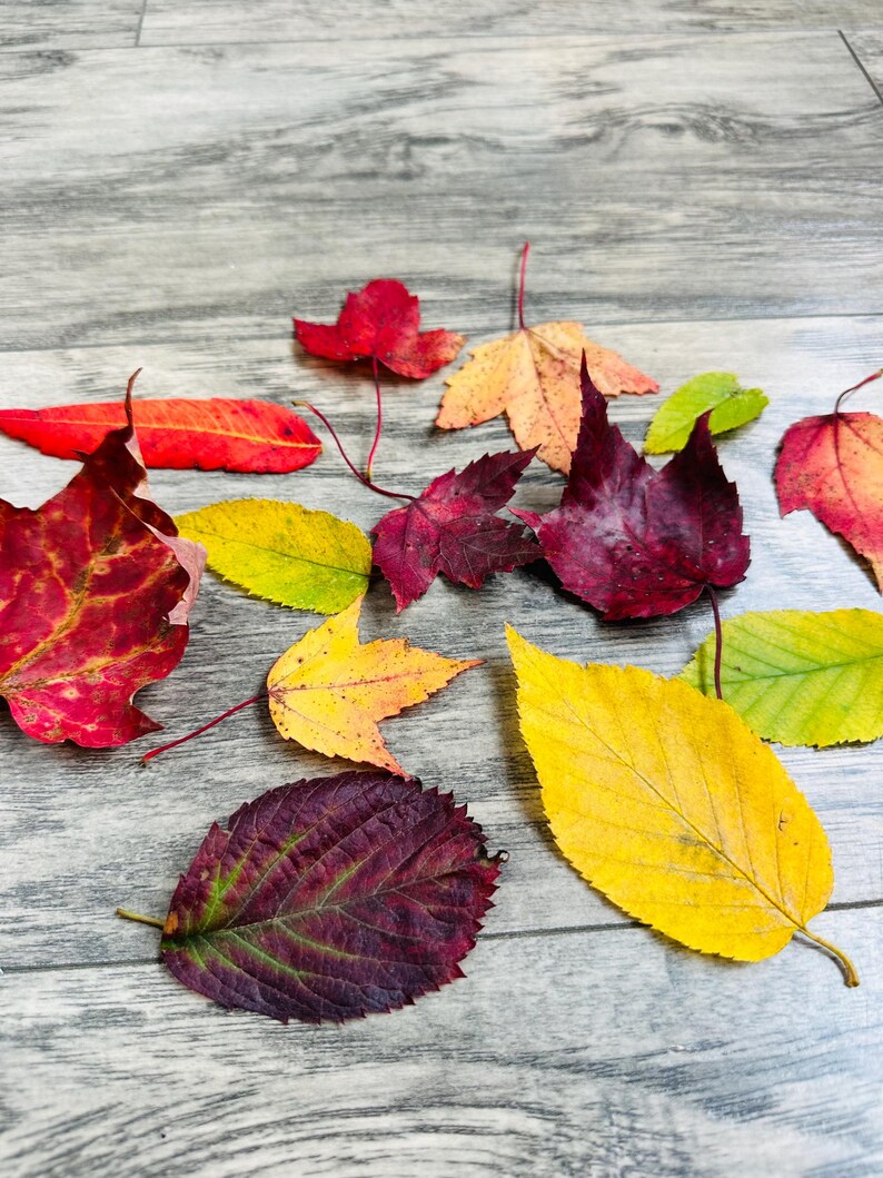 Fall for Jesus He Never Leaves Kids Activity Craft Paper Sunday School ...