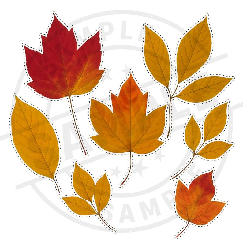 Realistic Printable Fall Leaf Cutouts | Autumn Leaves for Crafts ...
