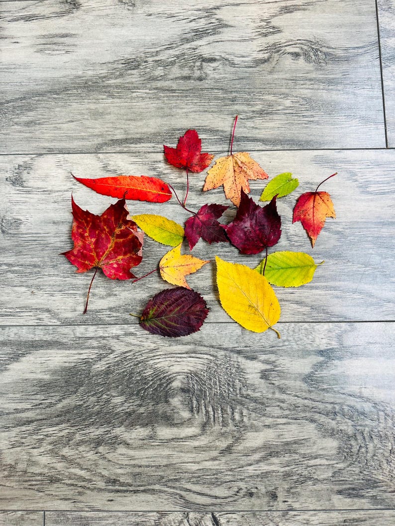 Fall for Jesus He Never Leaves Kids Activity Craft Paper Sunday School ...