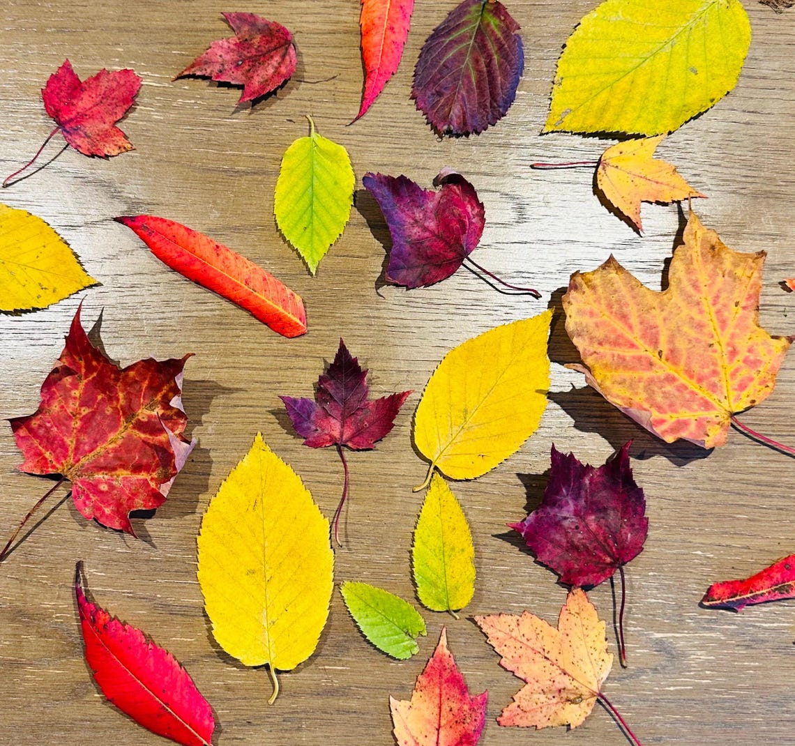 Fall for Jesus He Never Leaves Kids Activity Craft Paper Sunday School ...