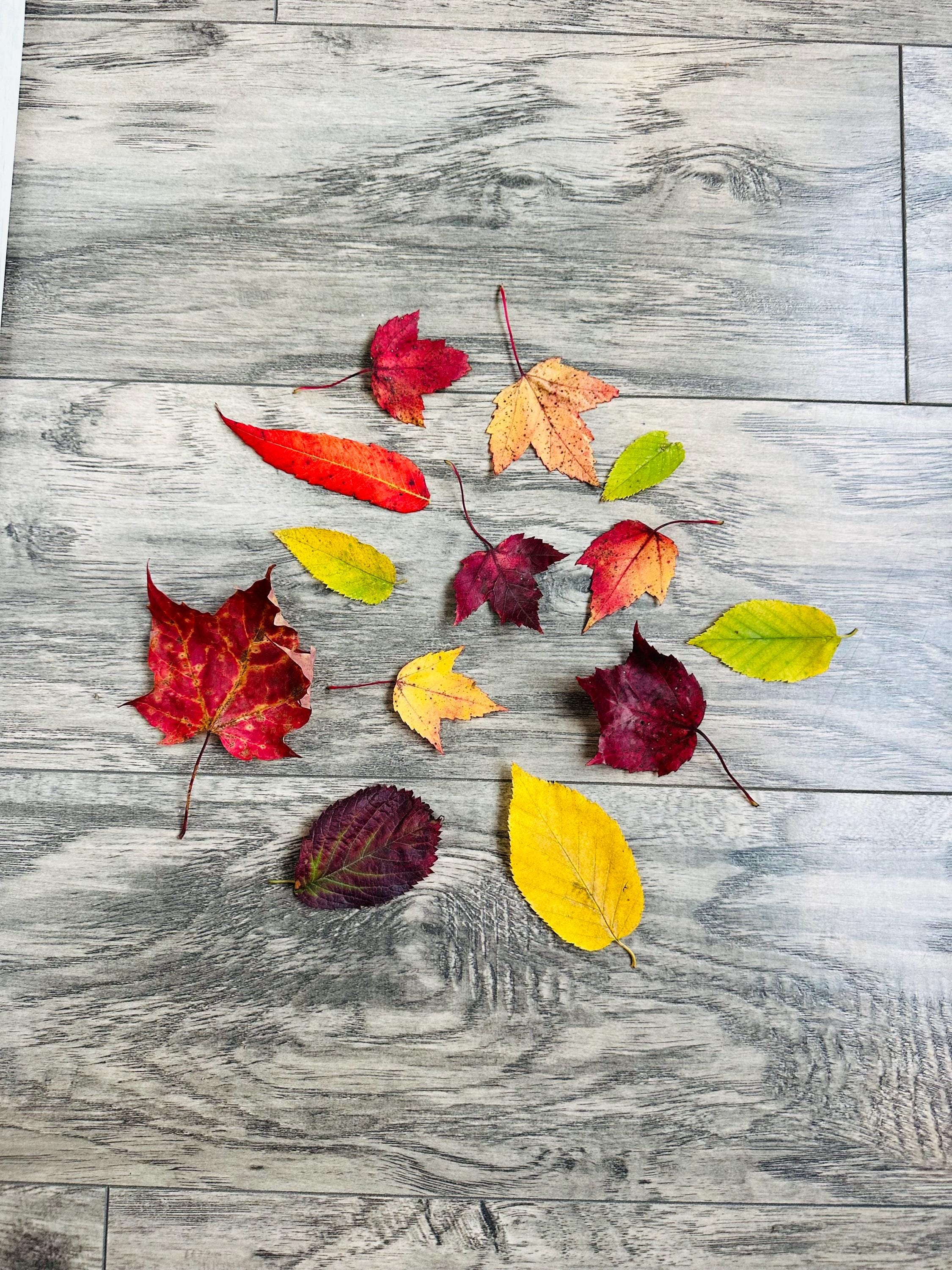 Fall for Jesus He Never Leaves Kids Activity Craft Paper Sunday School ...