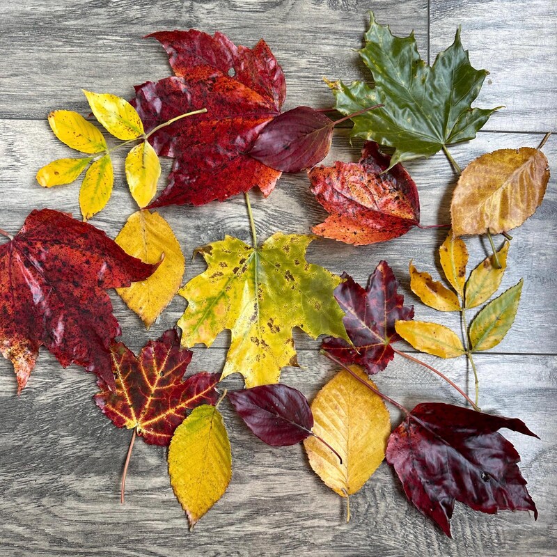 Fake Fall Leaves - Etsy
