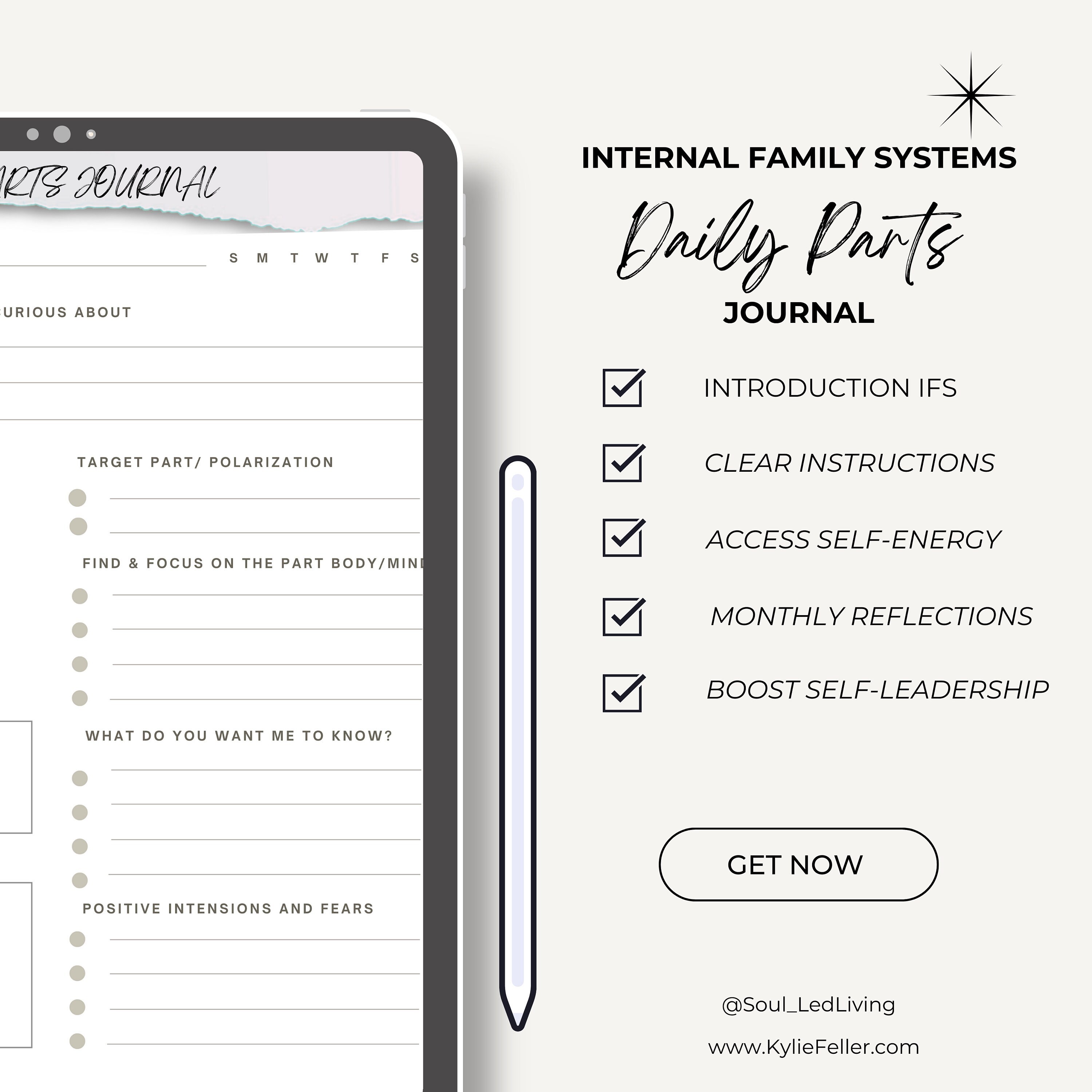 IPad Internal Family Systems Daily Parts Journal- Ipad/microsoft Pencil ...