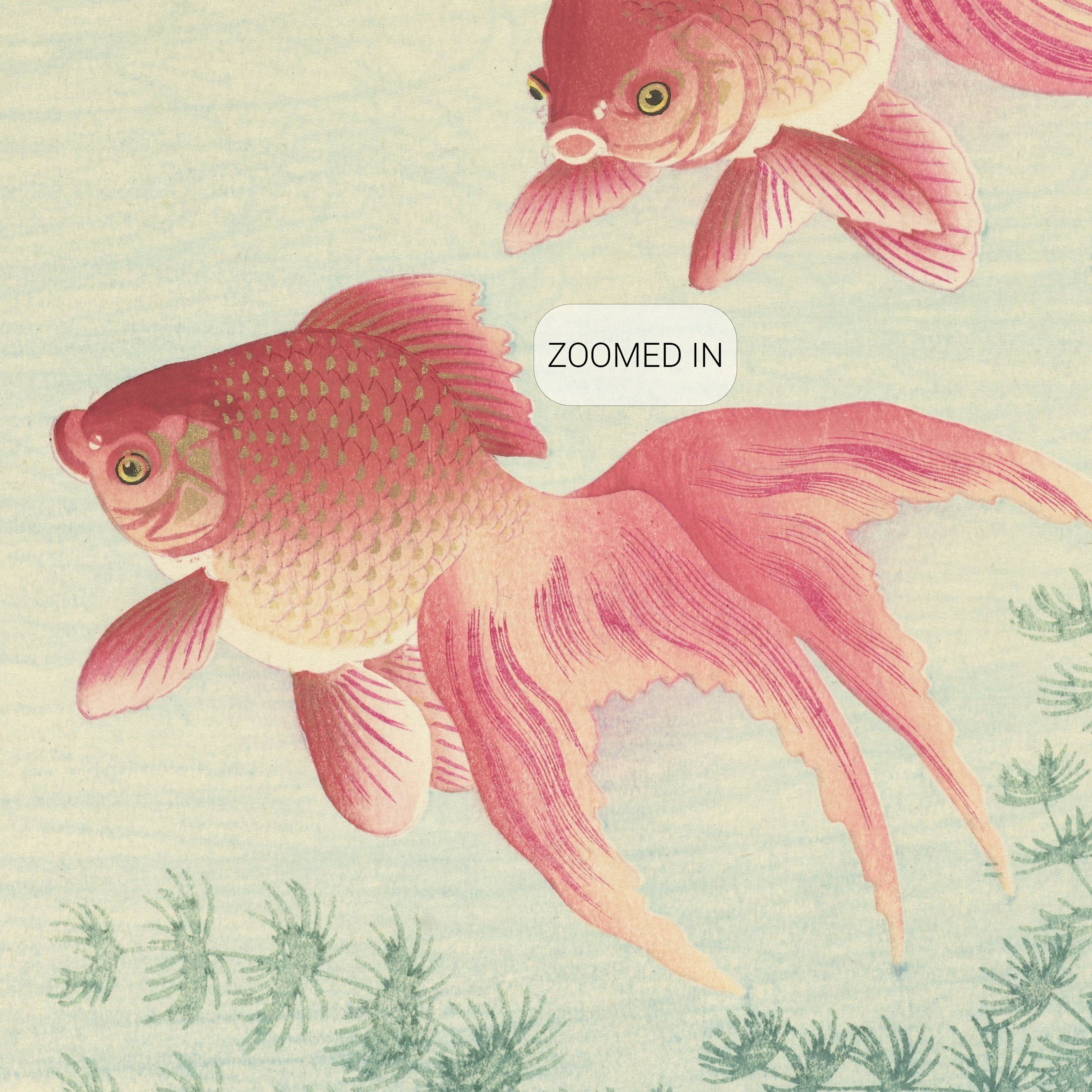 Ohara Koson, Two Fantail Goldfish, 1900, Wall Décor Premium Canvas ...