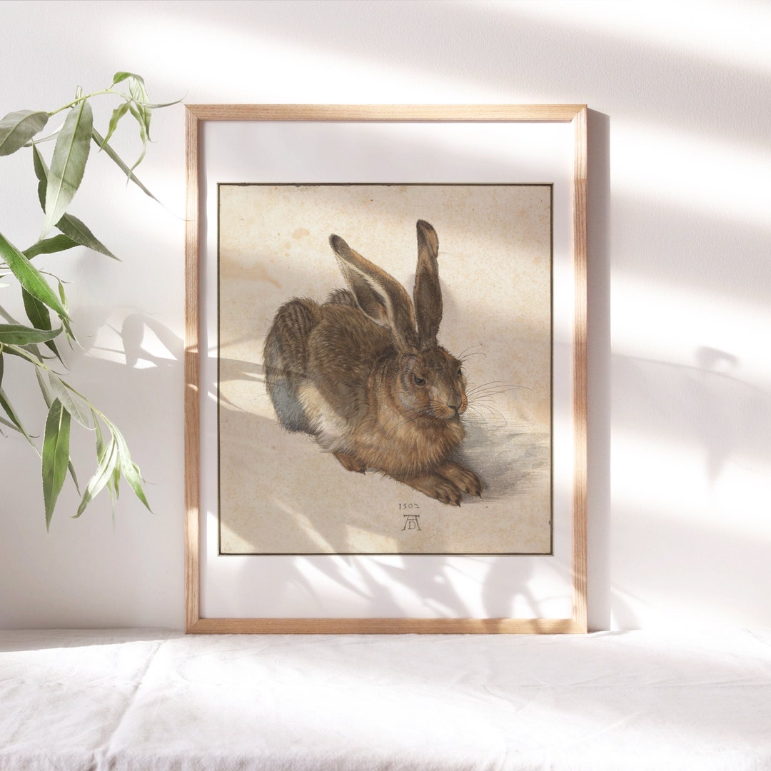 Albrecht Dürer, Young Hare 1502 Wall Décor, Artwork Premium Canvas ...