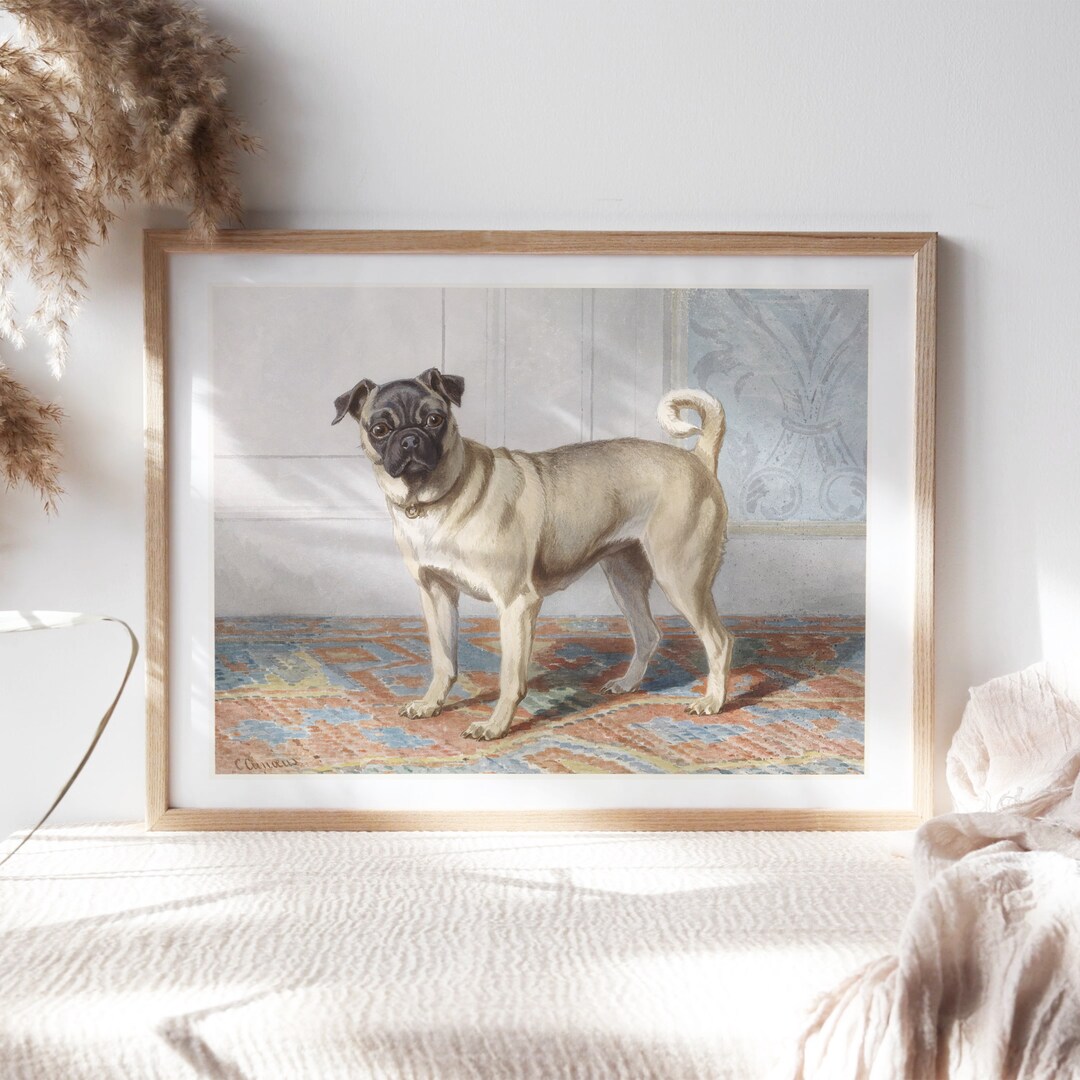 Conradijn Cunaeus, Portrait Edwin Vom Raths Pug, 1890, Wall Décor ...