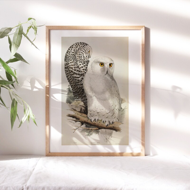 Edward Lear - Etsy