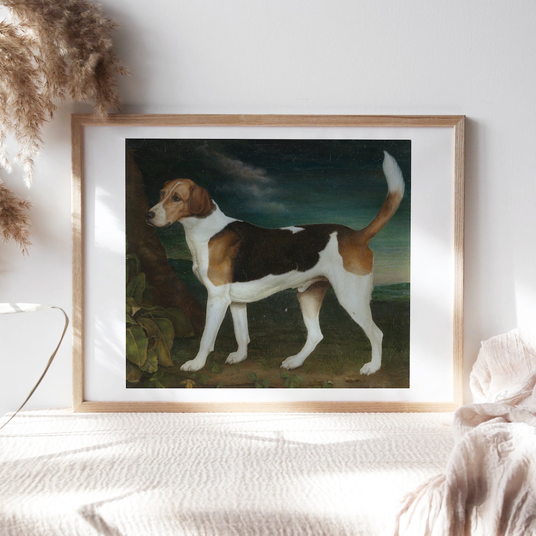 Unknown Artist Ringwood, a Brocklesby Foxhound 1806 Wall Décor, Artwork ...