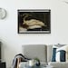 Gustave Courbet, Woman With a Parrot, 1866, Living Room Decor, Premium ...