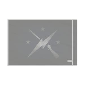 Fallout Minutemen Flag realistic - Etsy