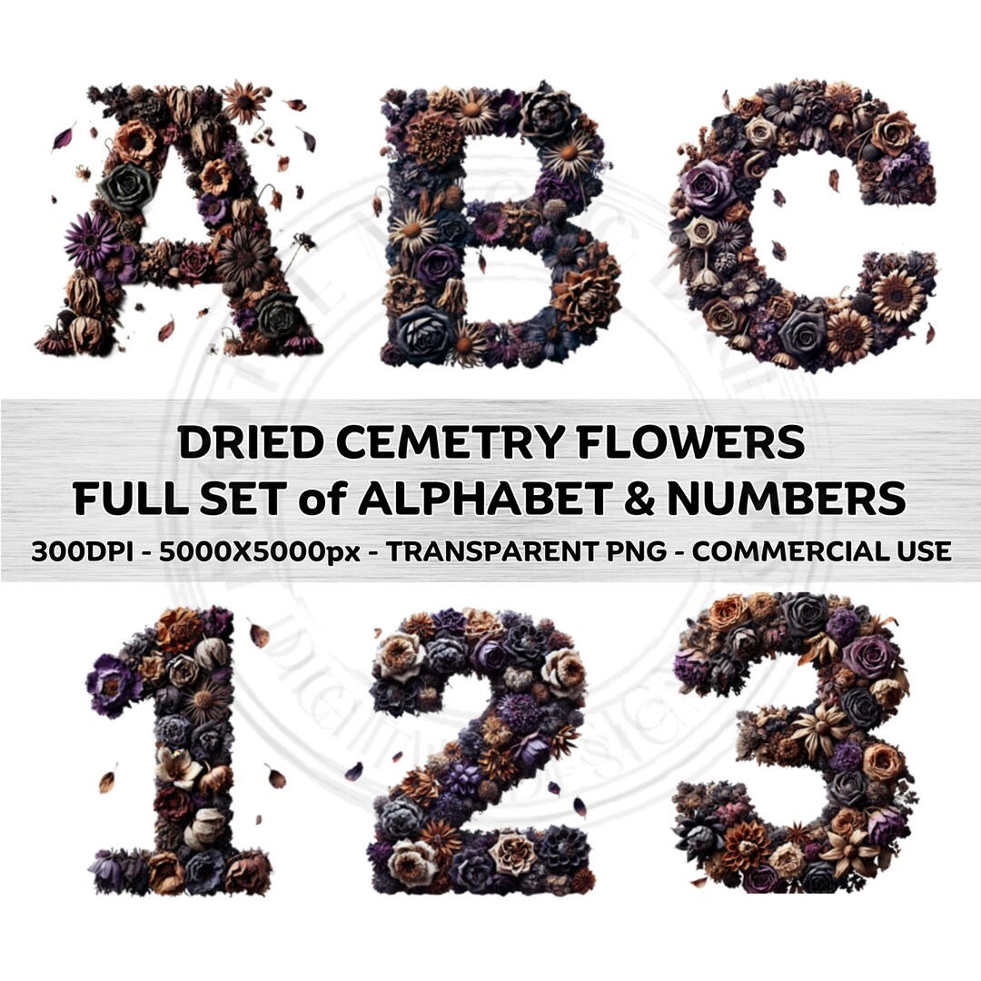 Dried Cemetry Flowers Alphabet & Numbers Clipart PNG Set Transparent ...